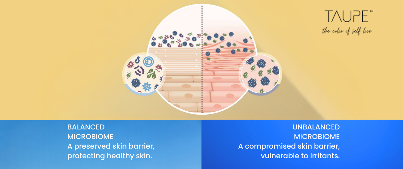 The Probiotic Advantage: How Skin Care Supports Your Skin Microbiome ...